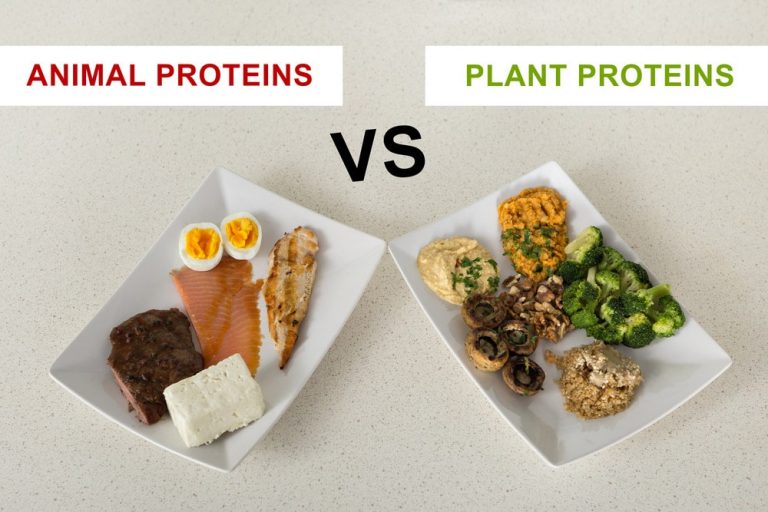 What Type of Protein Keeps You Full the Longest? • Cathe Friedrich