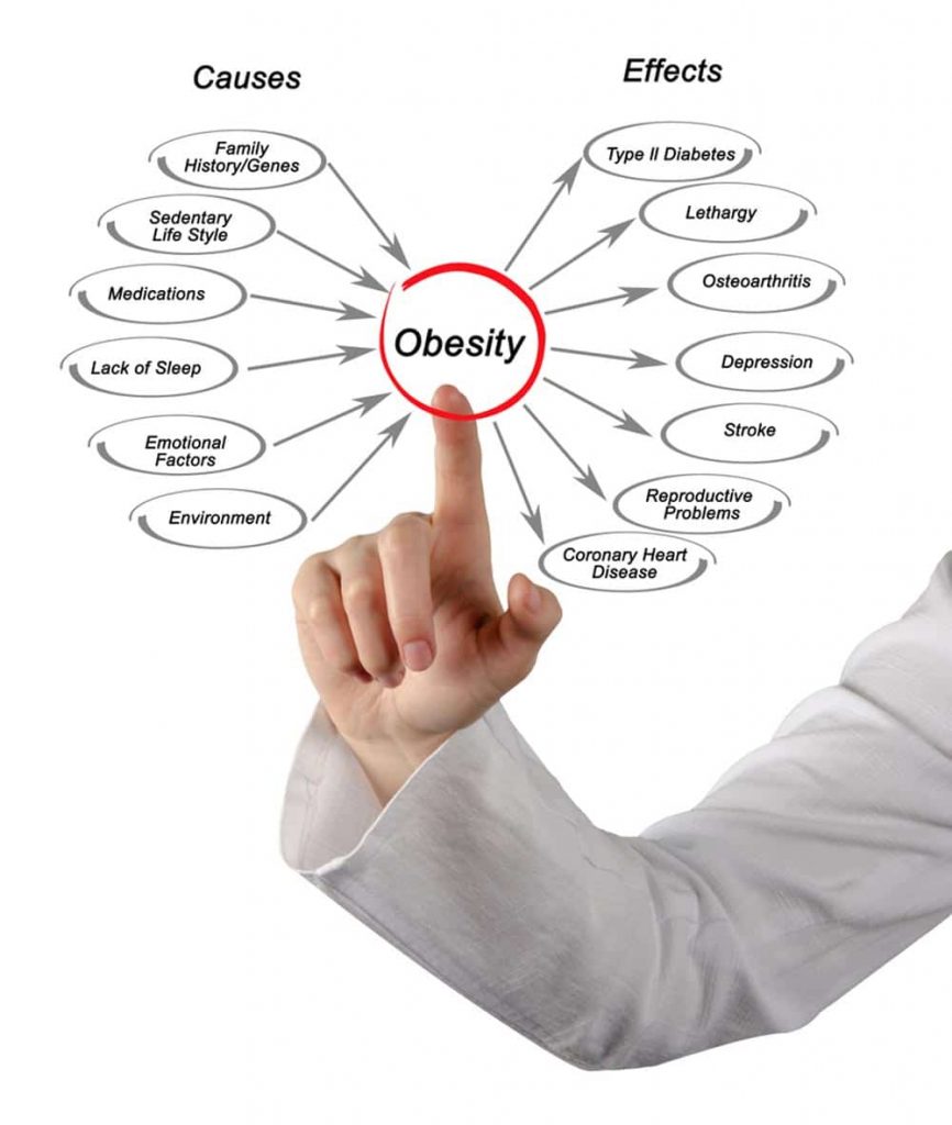 3+ Ways Obesity May Be Fueled by the Environment We Live In