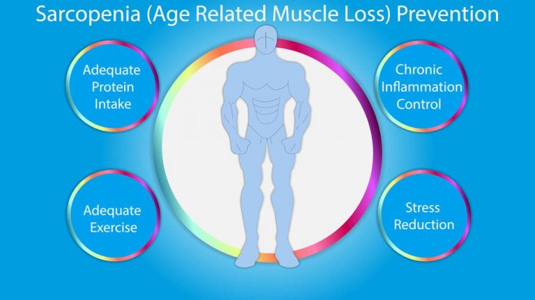A 3-Part Formula for Preventing Sarcopenia • Cathe Friedrich